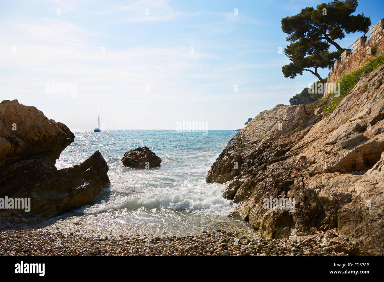 Maritime pine trees and france hi-res stock photography and images - Alamy