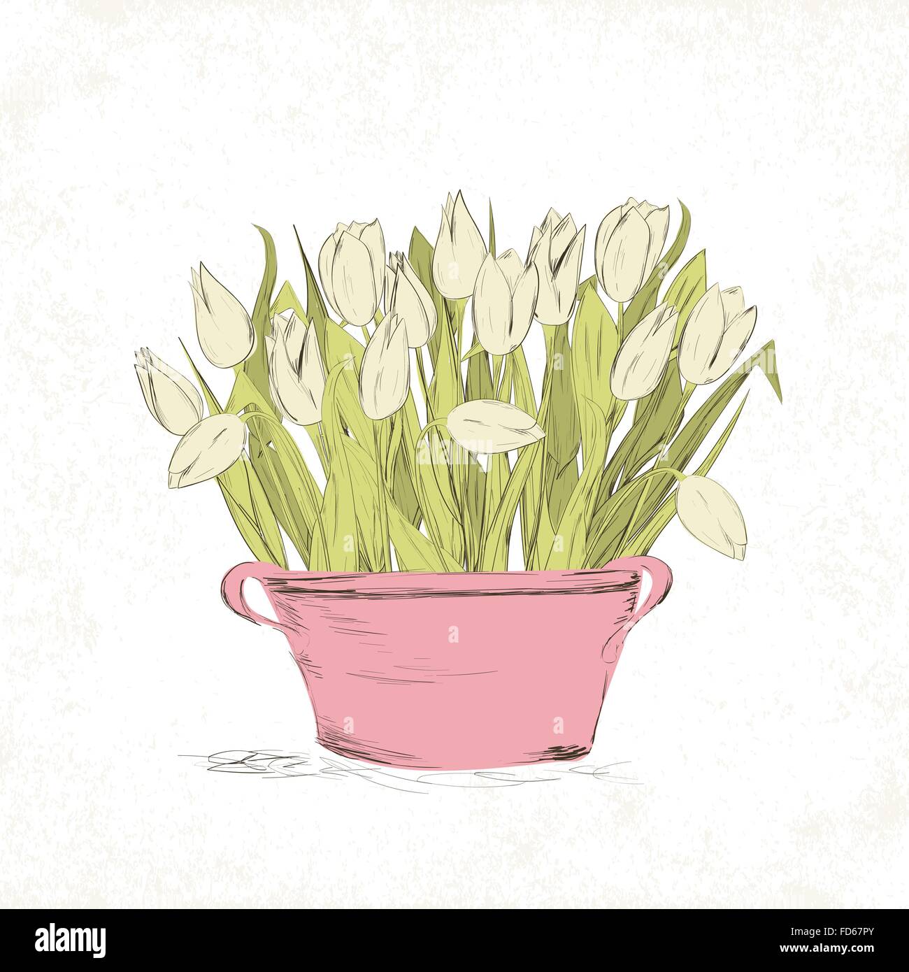 Pink tulip in bloom Stock Vector Images - Alamy