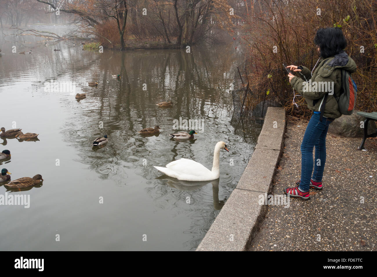 Prospect Park Brooklyn New York Stock Photo - Alamy
