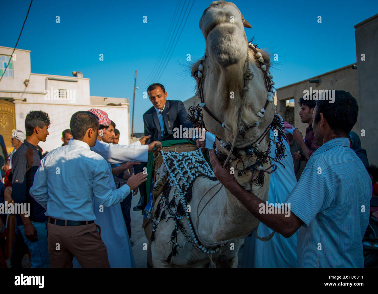 groom riding a camel during his wedding ceremony, Qeshm Island, Salakh ...