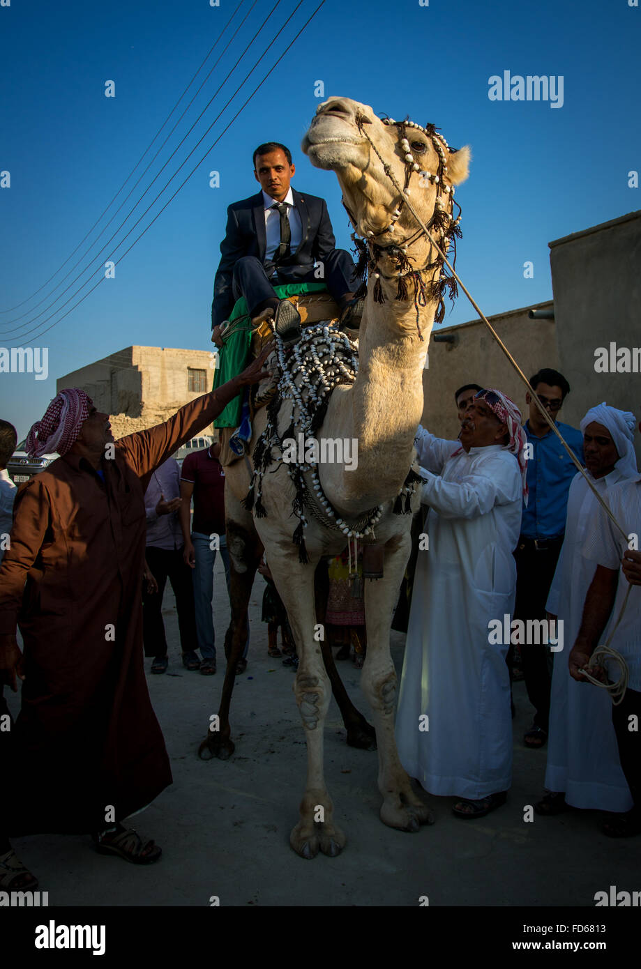 groom riding a camel during his wedding ceremony, Qeshm Island, Salakh ...