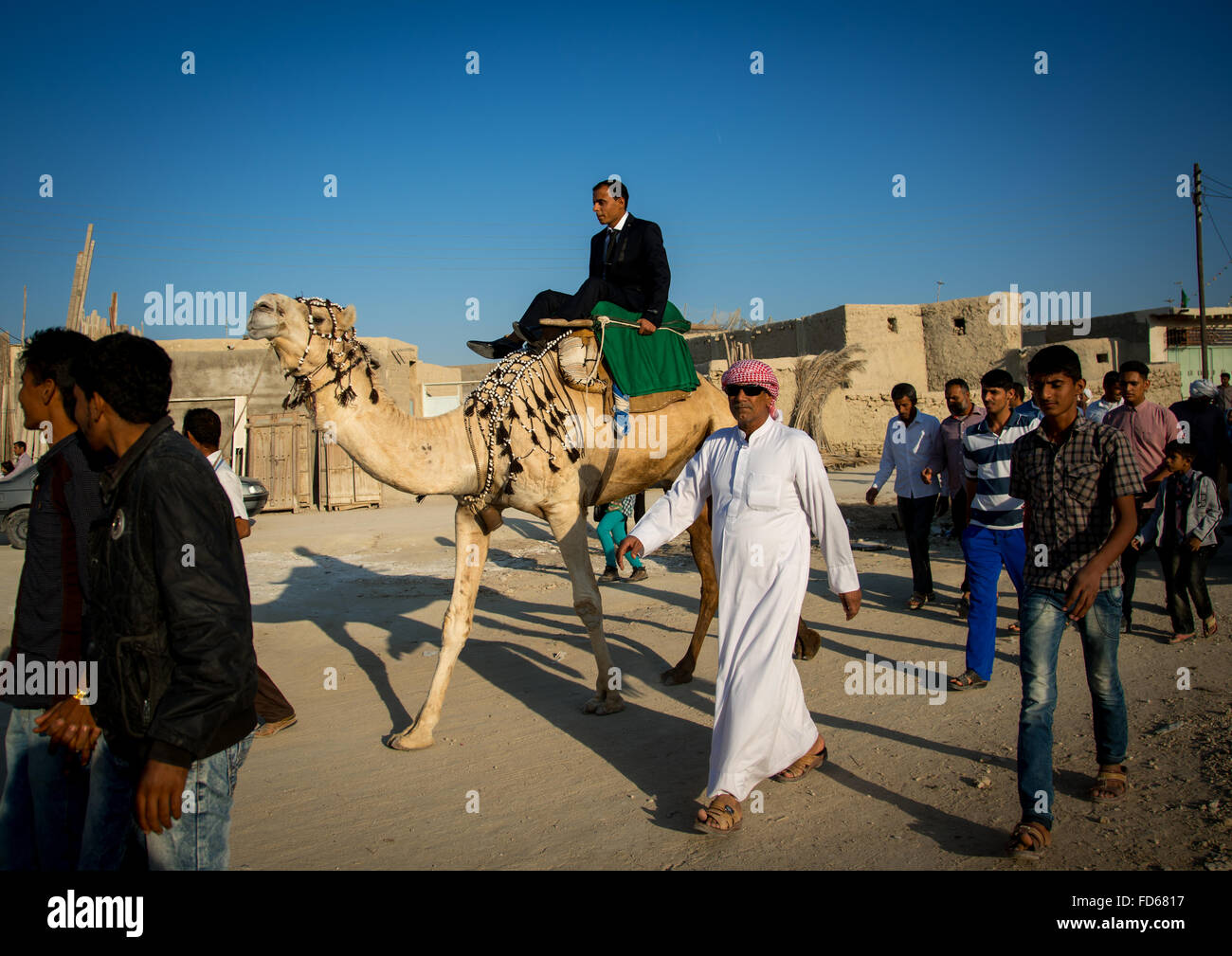 groom riding a camel during his wedding ceremony, Qeshm Island, Salakh ...