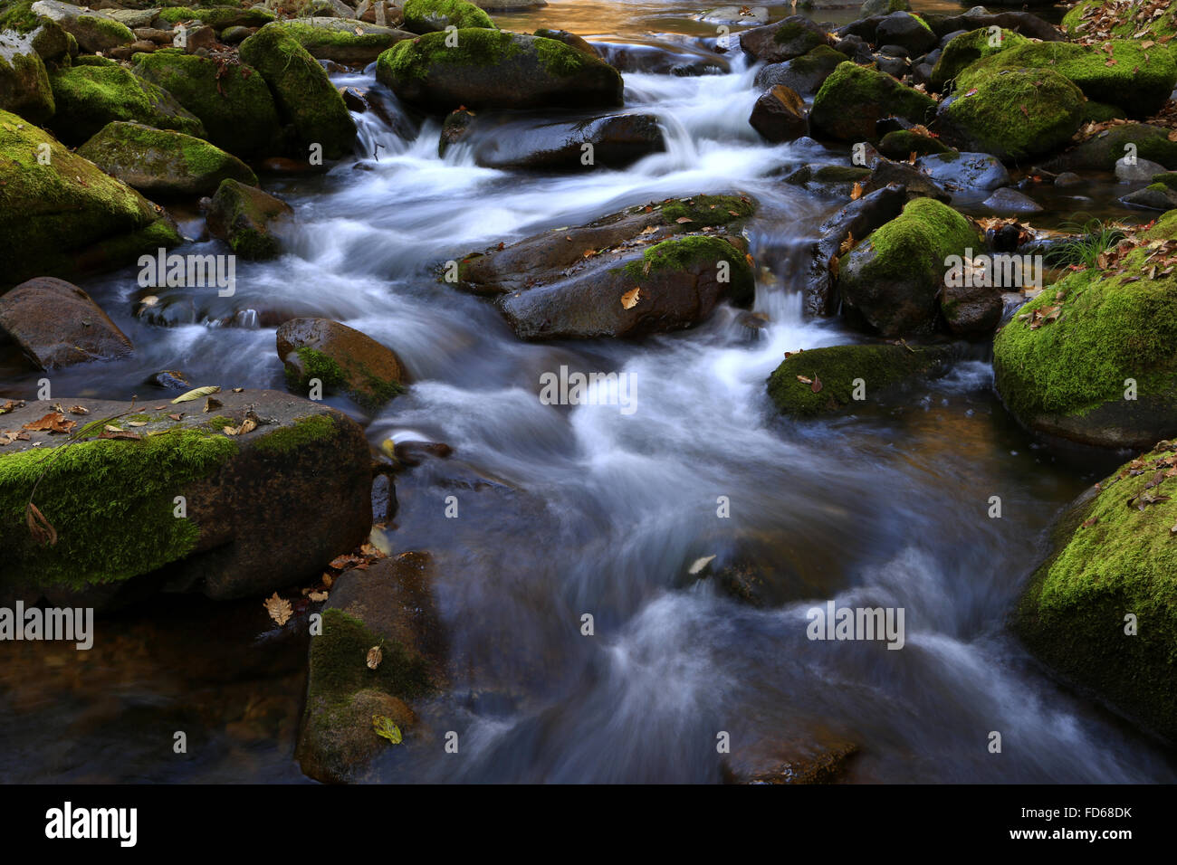 River Green stone valley Baishan City Liaoning Province China Stock ...