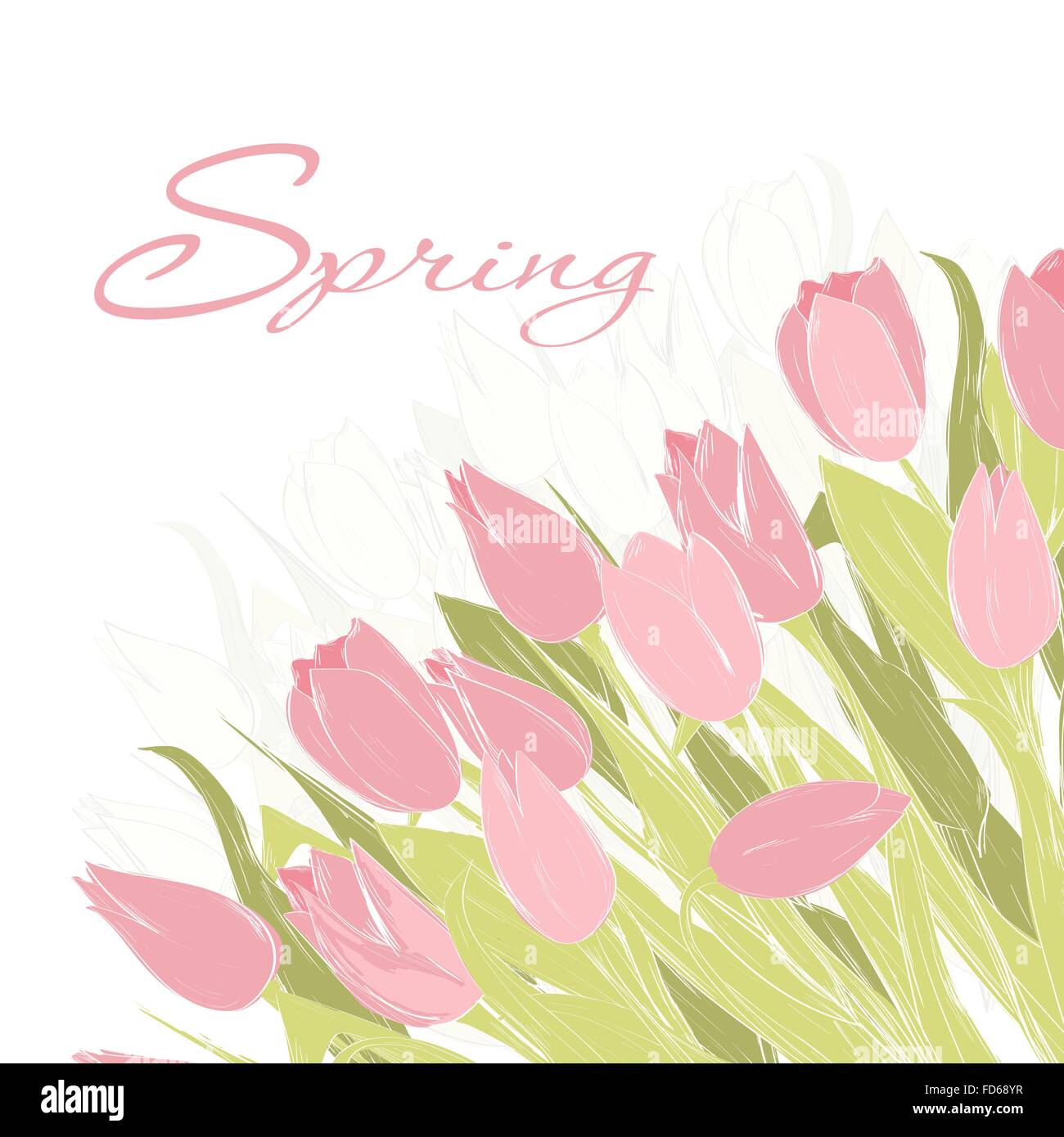 Hand drawn spring tulip flowers. Spring greeting card, Invitation, Template for your design ...