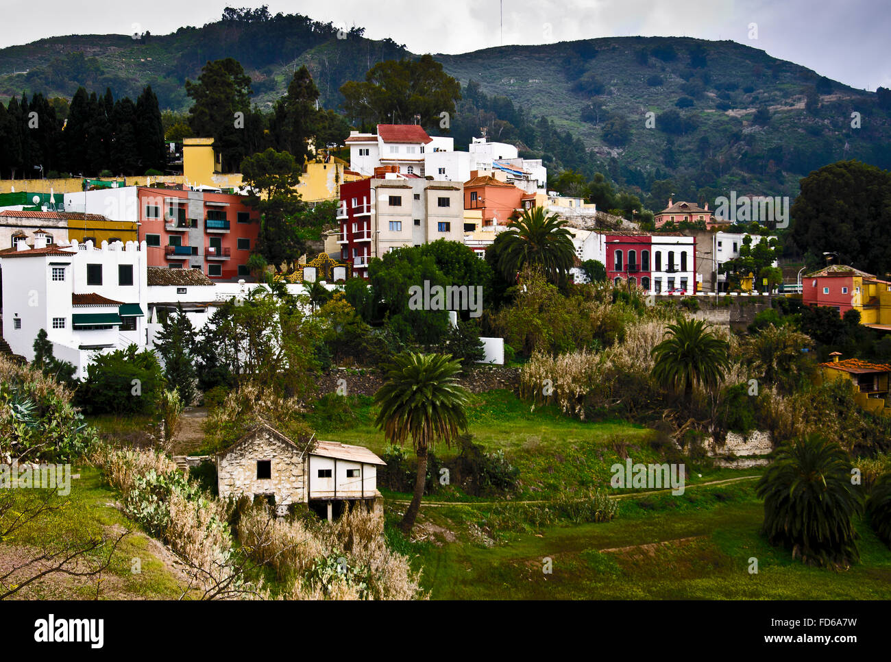 A rural landscape by the morning in the south of Great Canary island ...