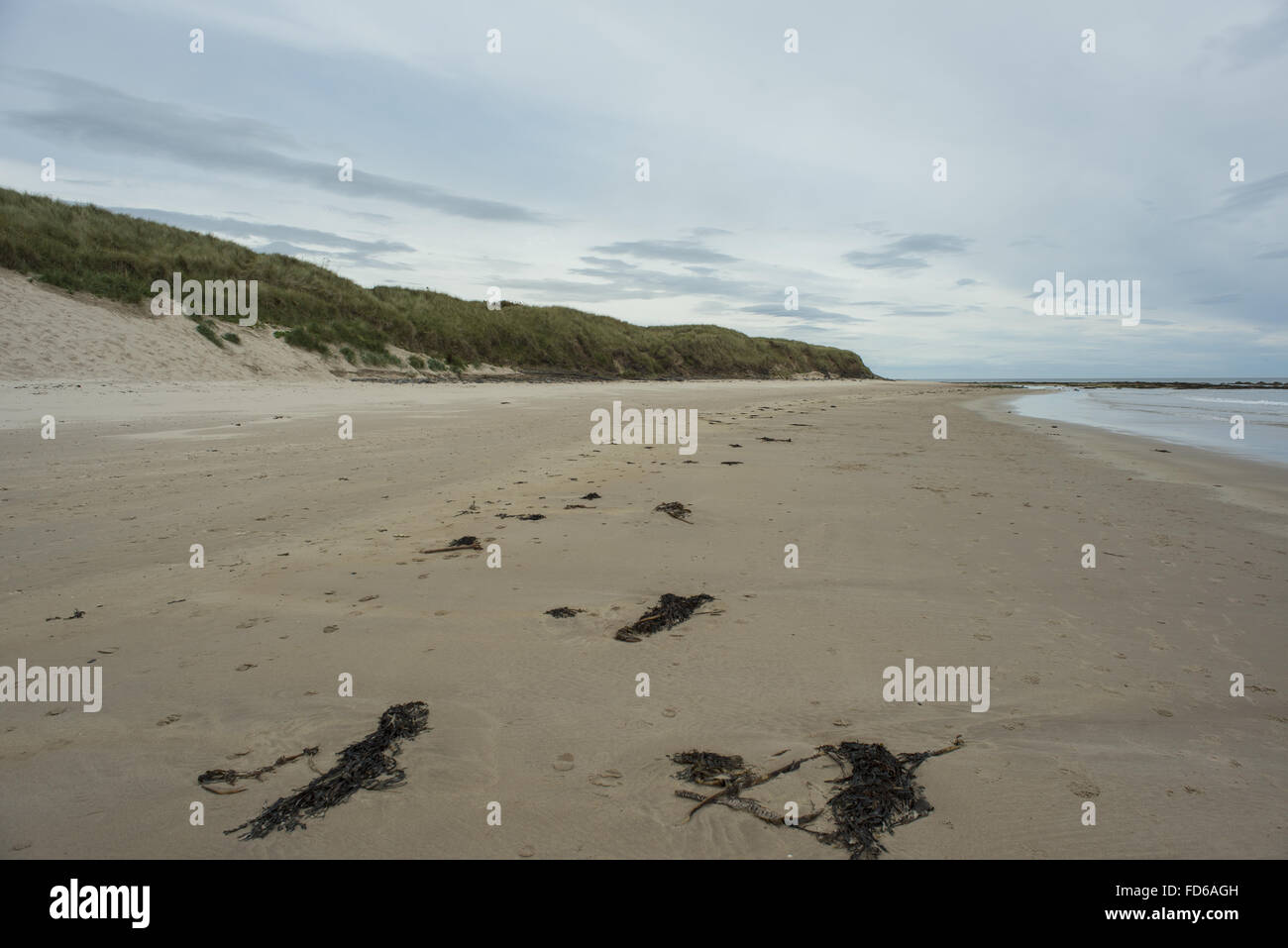 Seahouses Beach Northumberland Stock Photo - Alamy