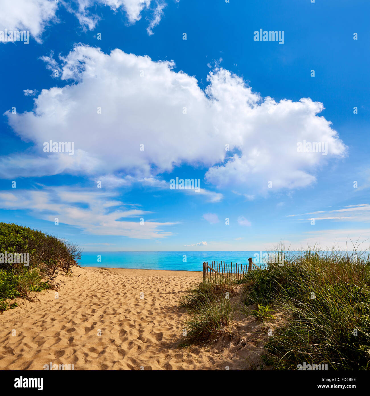 Herring cove beach massachusetts hi-res stock photography and images ...