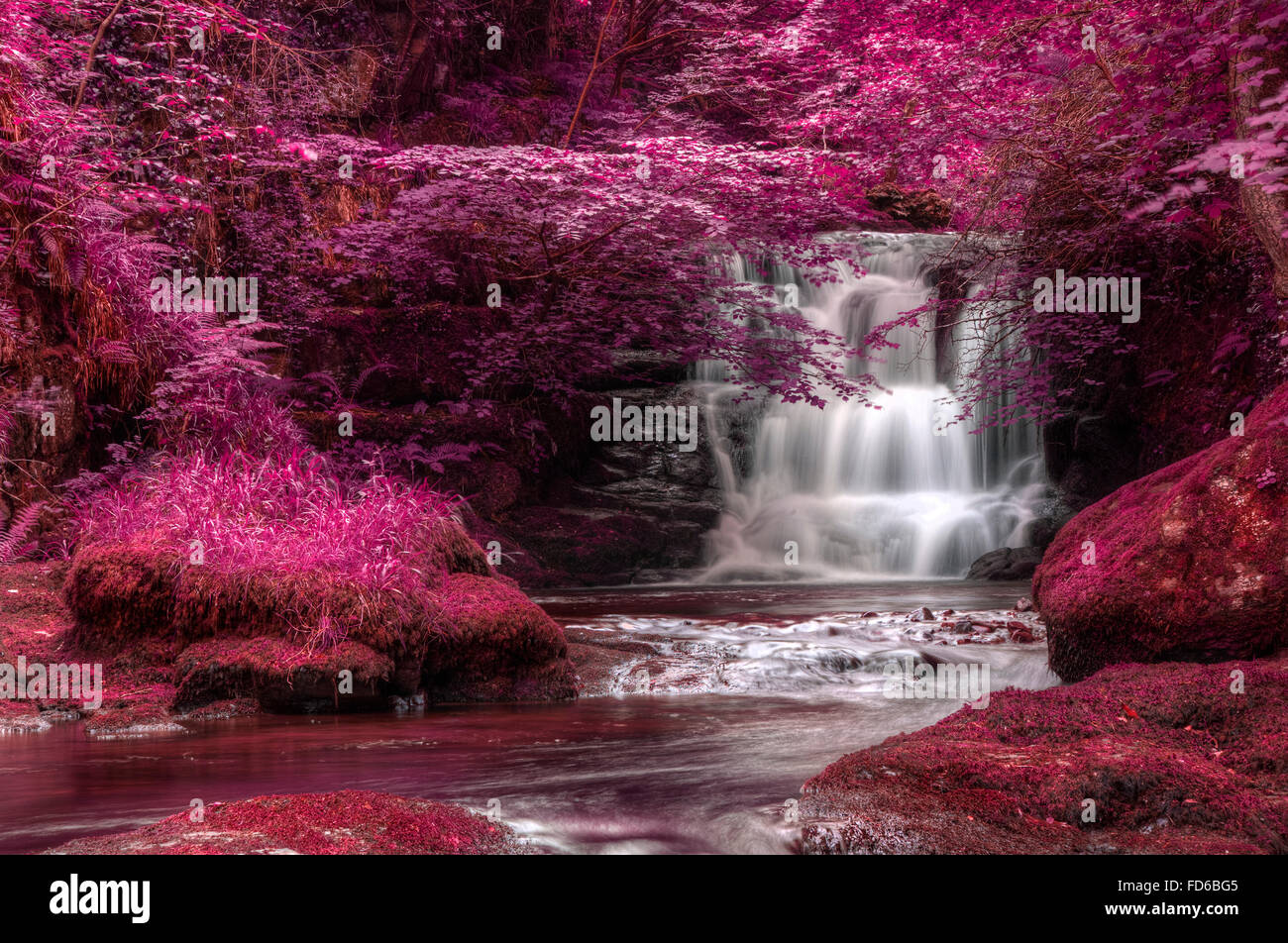 Stunning alternate reality colored fantasy forest and river landscape ...