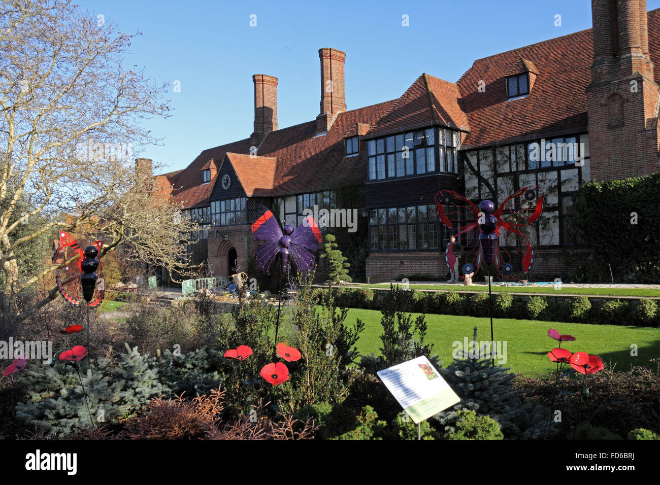 Wisley, Surrey, England, UK. 28th January 2016. The butterflies are ...