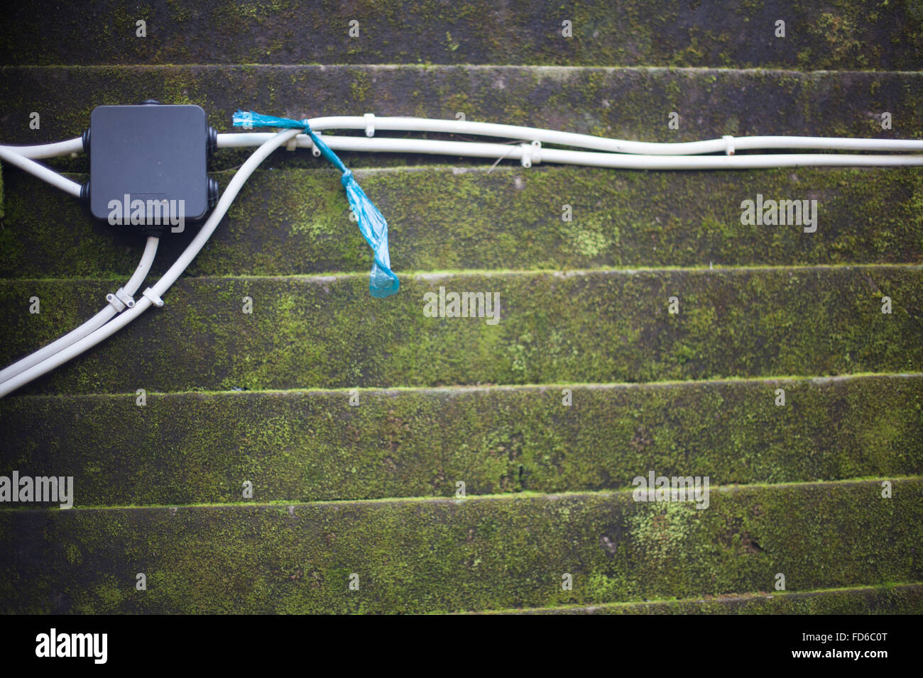 Architecture cables hi-res stock photography and images - Alamy