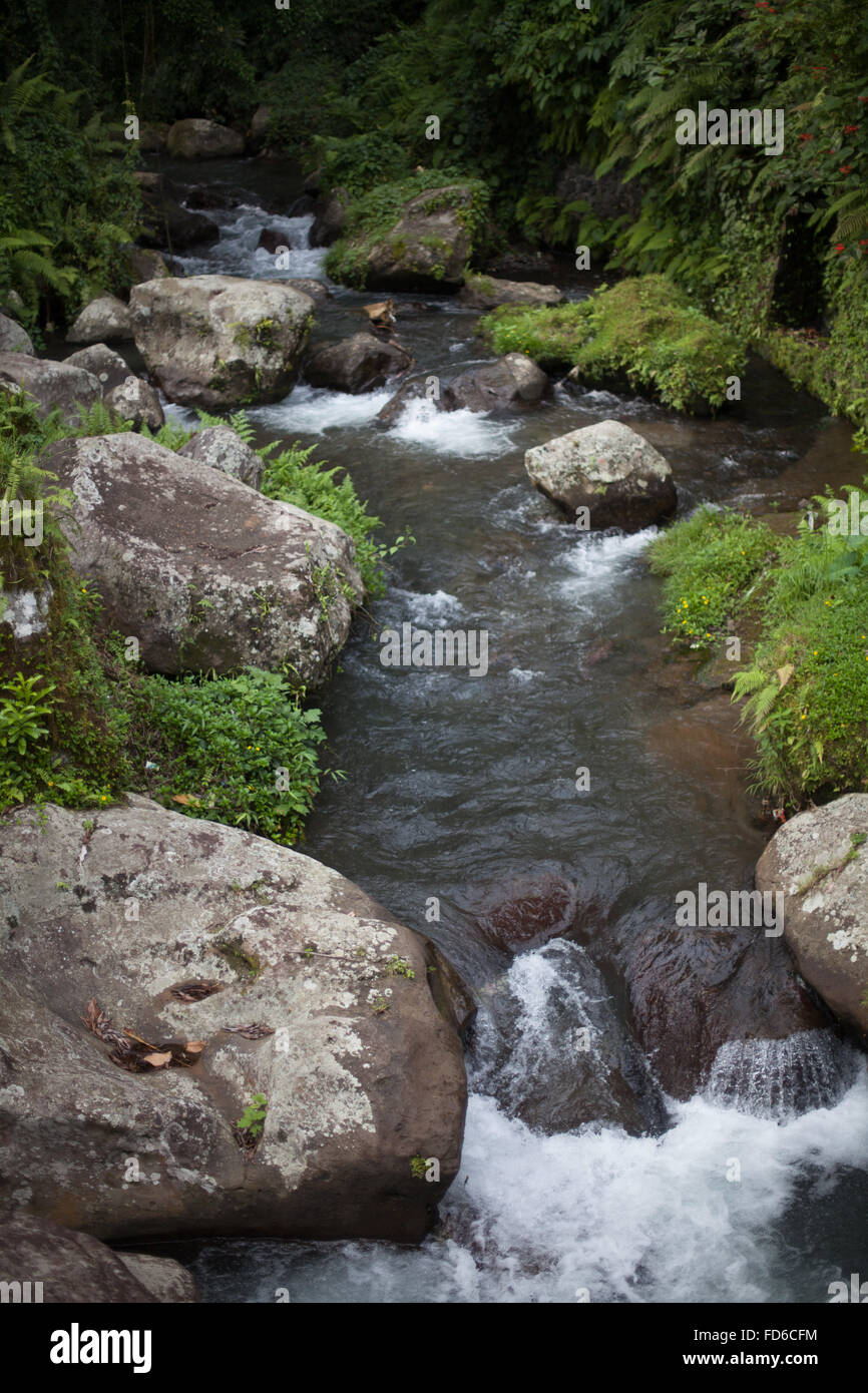 Stream flowing water hi-res stock photography and images - Alamy