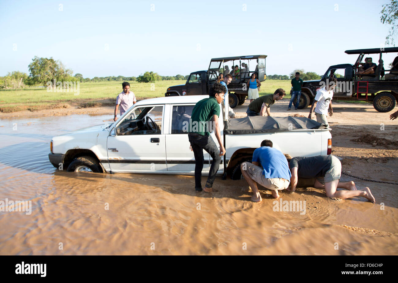 Safari 4x4 stuck in mud inside Yala National Park Stock Photo - Alamy