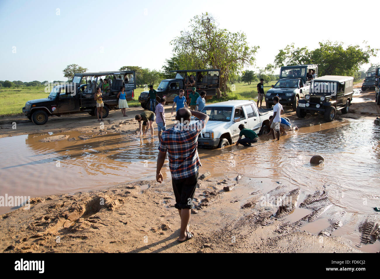 Safari 4x4 stuck in mud inside Yala National Park Stock Photo - Alamy