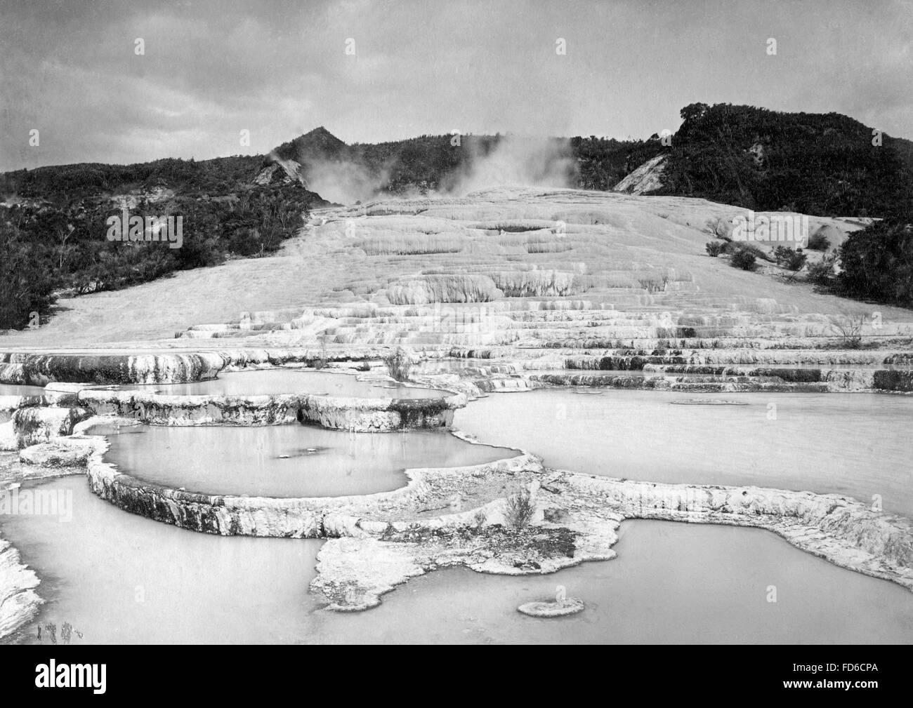 'White terrace' in New Zealand befor the damage Stock Photo - Alamy