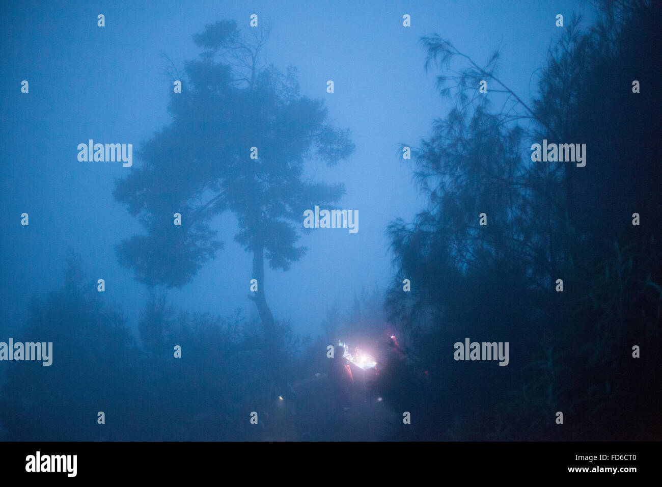 Fire person forest hi-res stock photography and images - Alamy