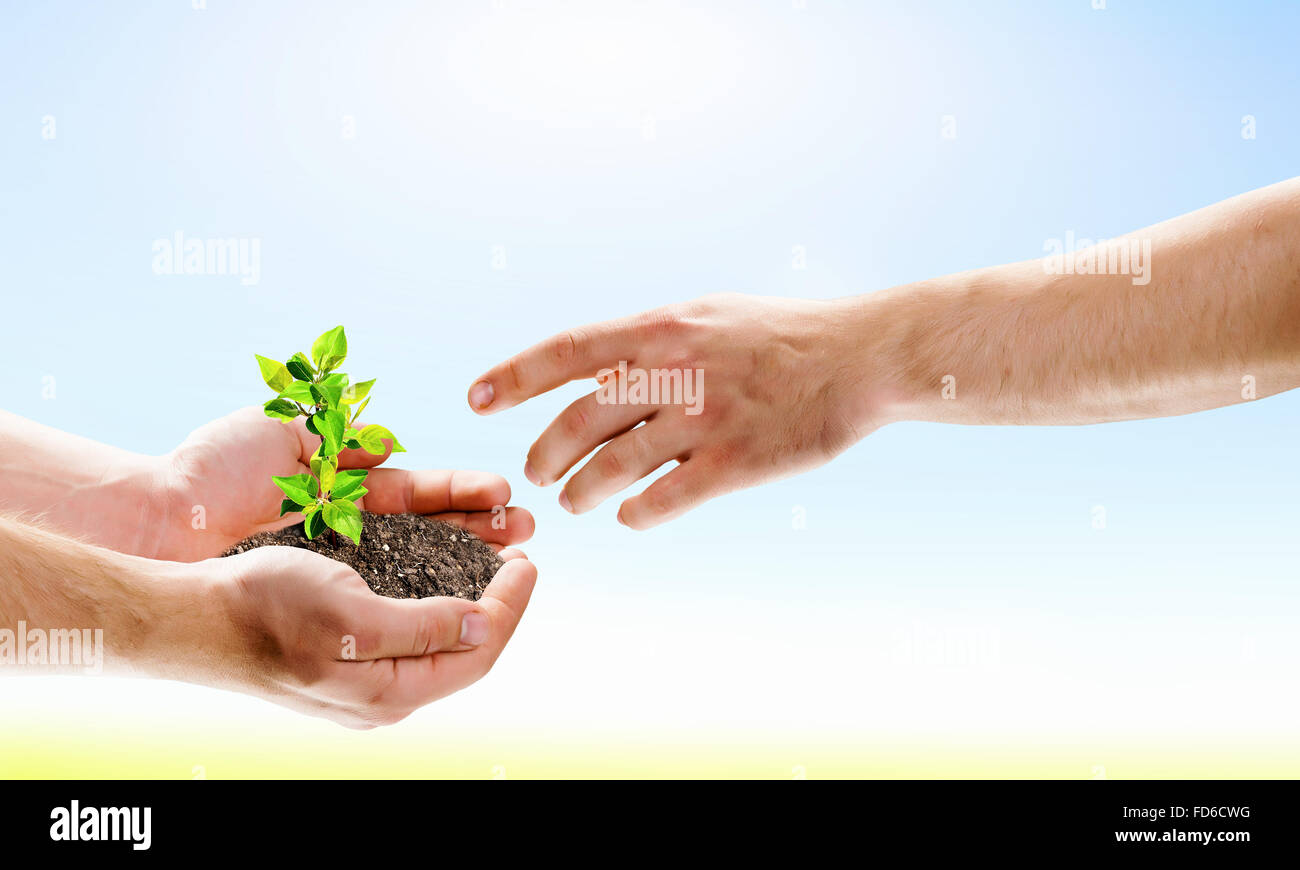 Close up image of human hands holding sprout Stock Photo - Alamy