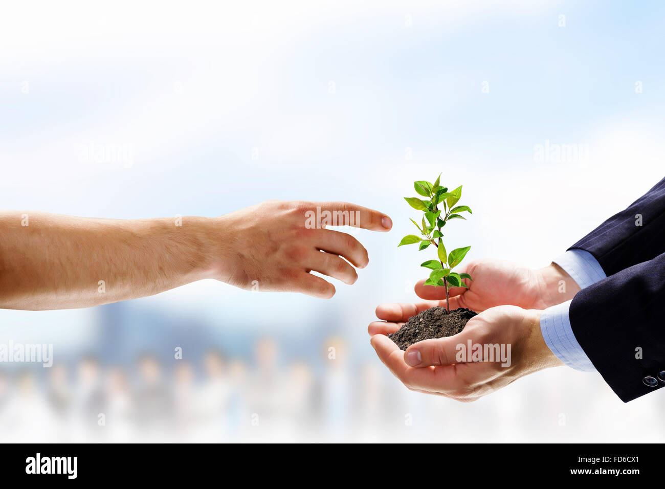 Close up image of human hands holding sprout Stock Photo - Alamy