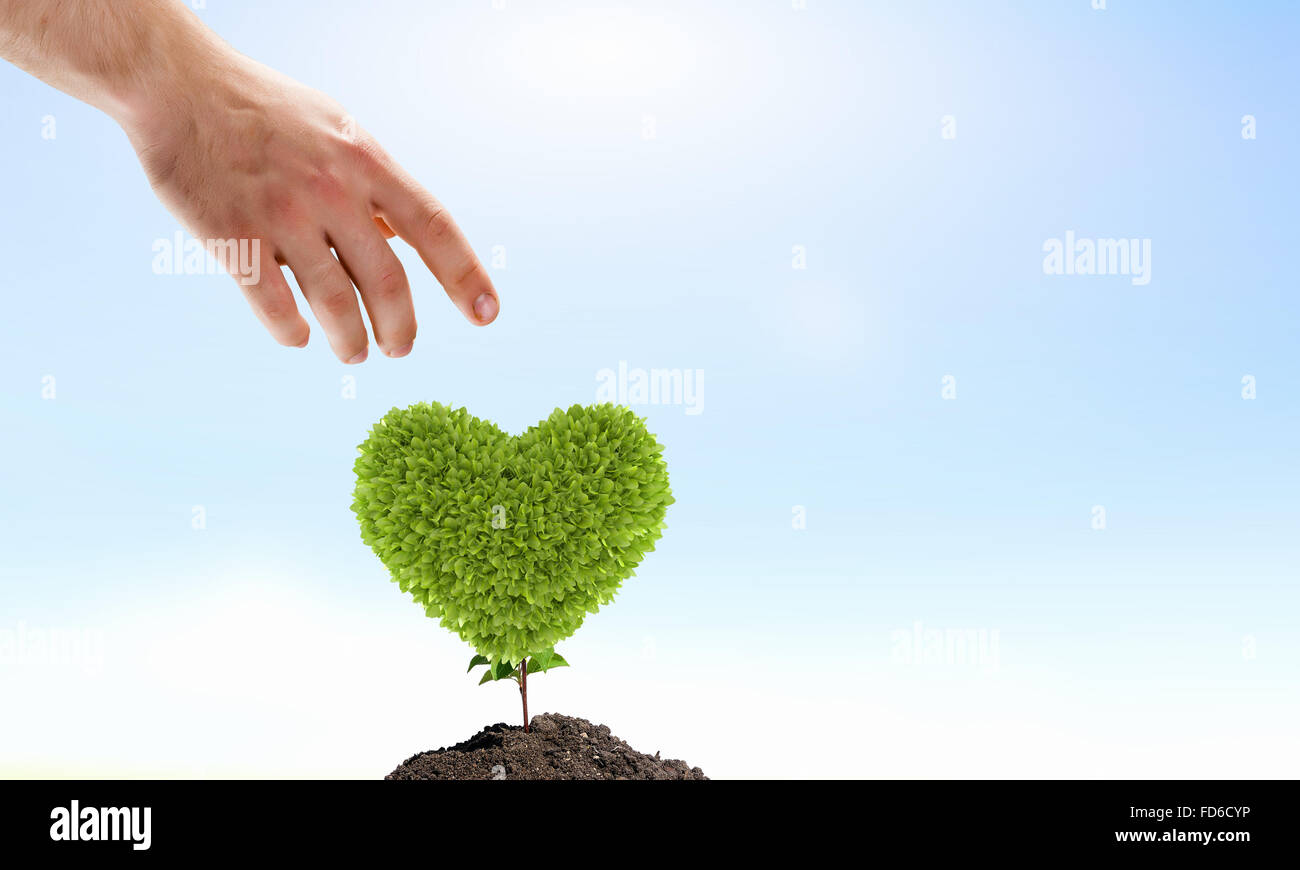 Image of human hands with plant shaped like heart. Environmental ...