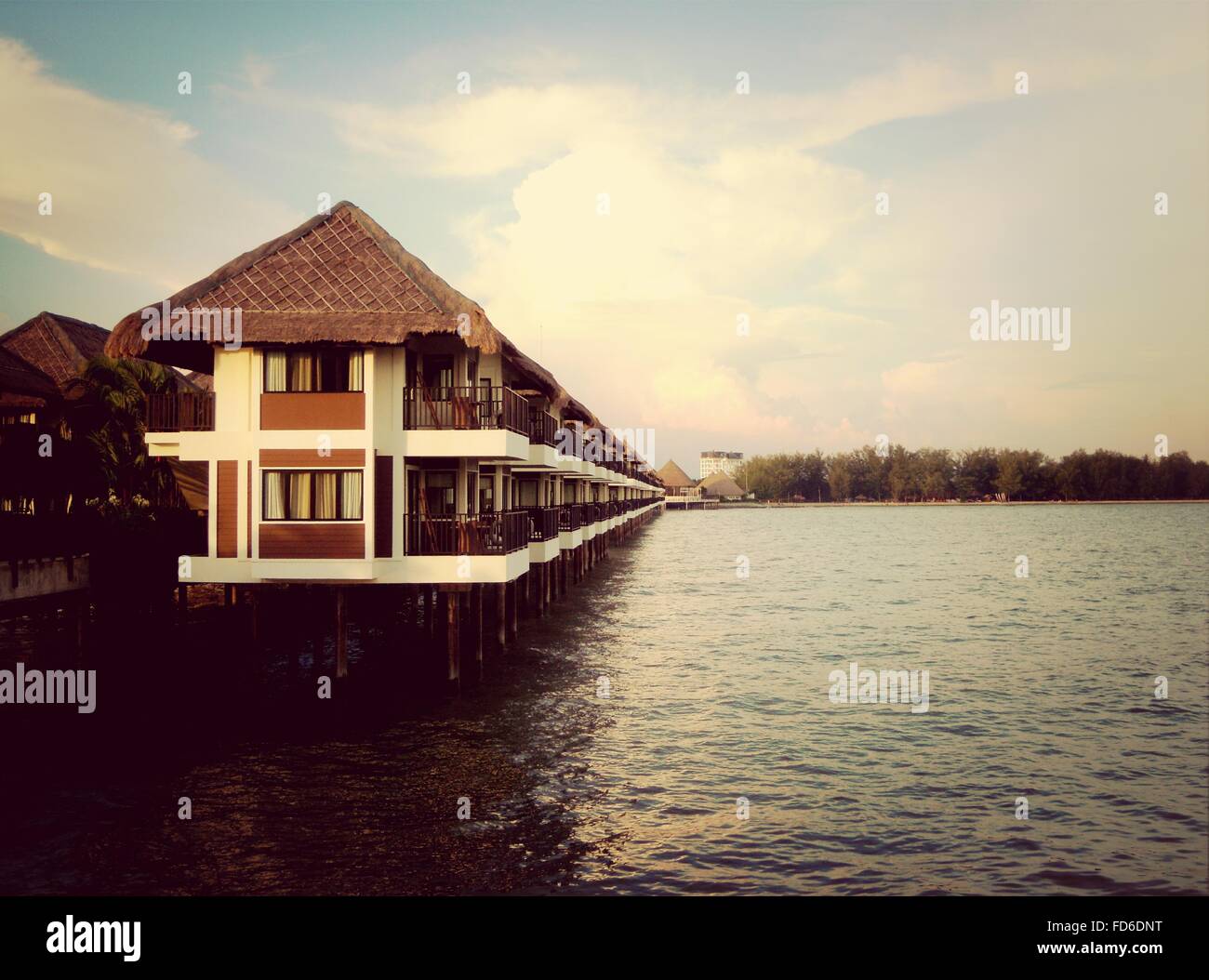 Sea side coconut tree hi-res stock photography and images - Alamy