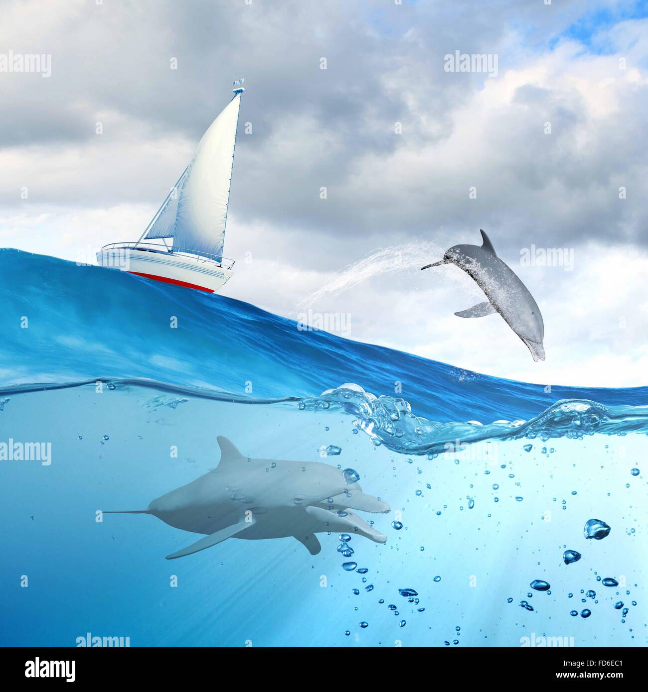 Floating yacht and dolphins swimming under water Stock Photo - Alamy