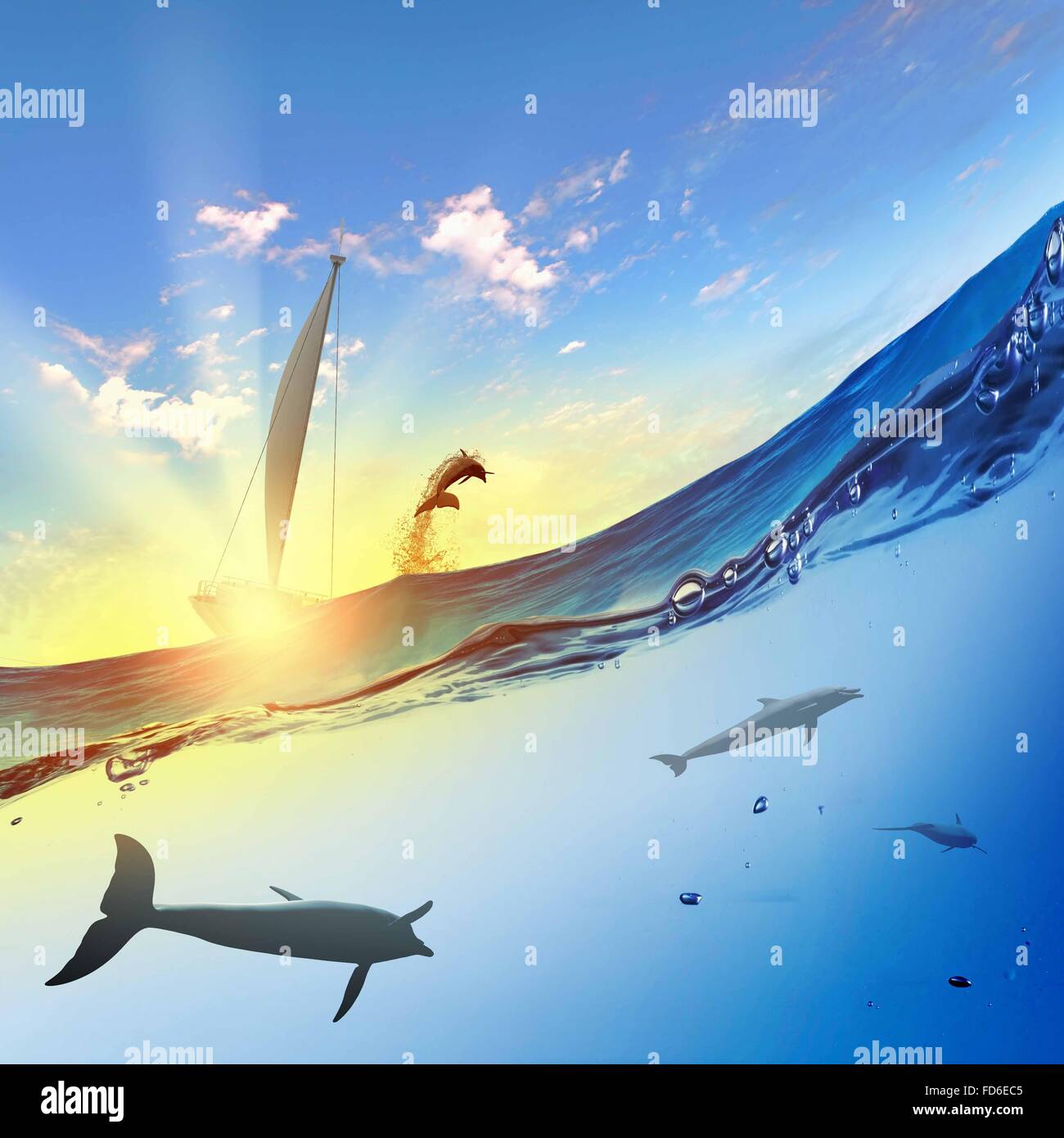 Floating yacht and dolphins swimming under water Stock Photo - Alamy