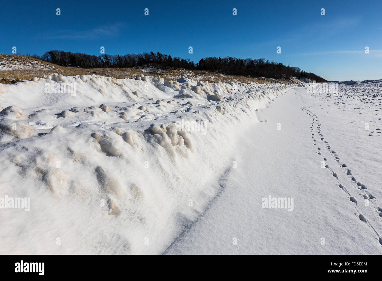 Ridges of ice built up by waves during winter storms coming in off Lake ...