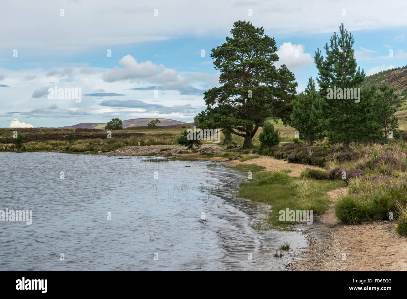 Countryside at Lochindorb Stock Photo - Alamy
