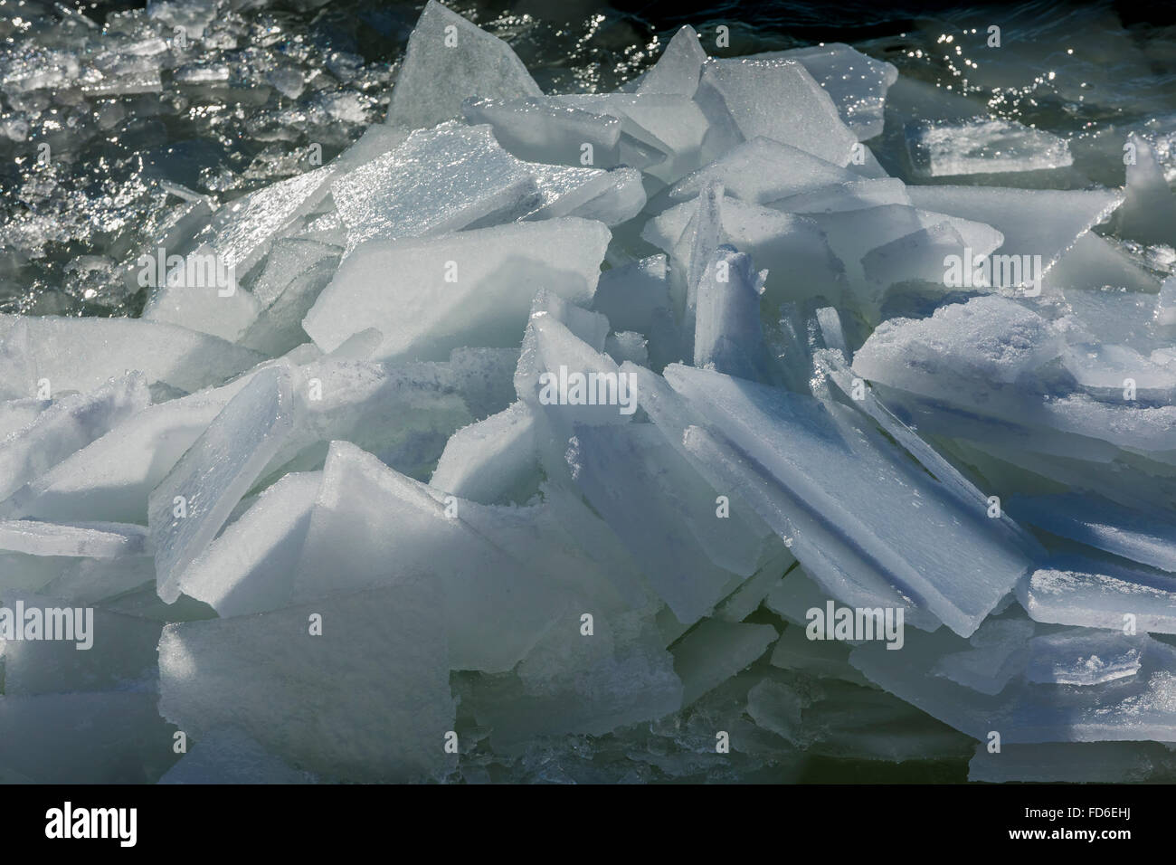 Flat plates of lake ice, broken up by the waves, then refrozen together ...