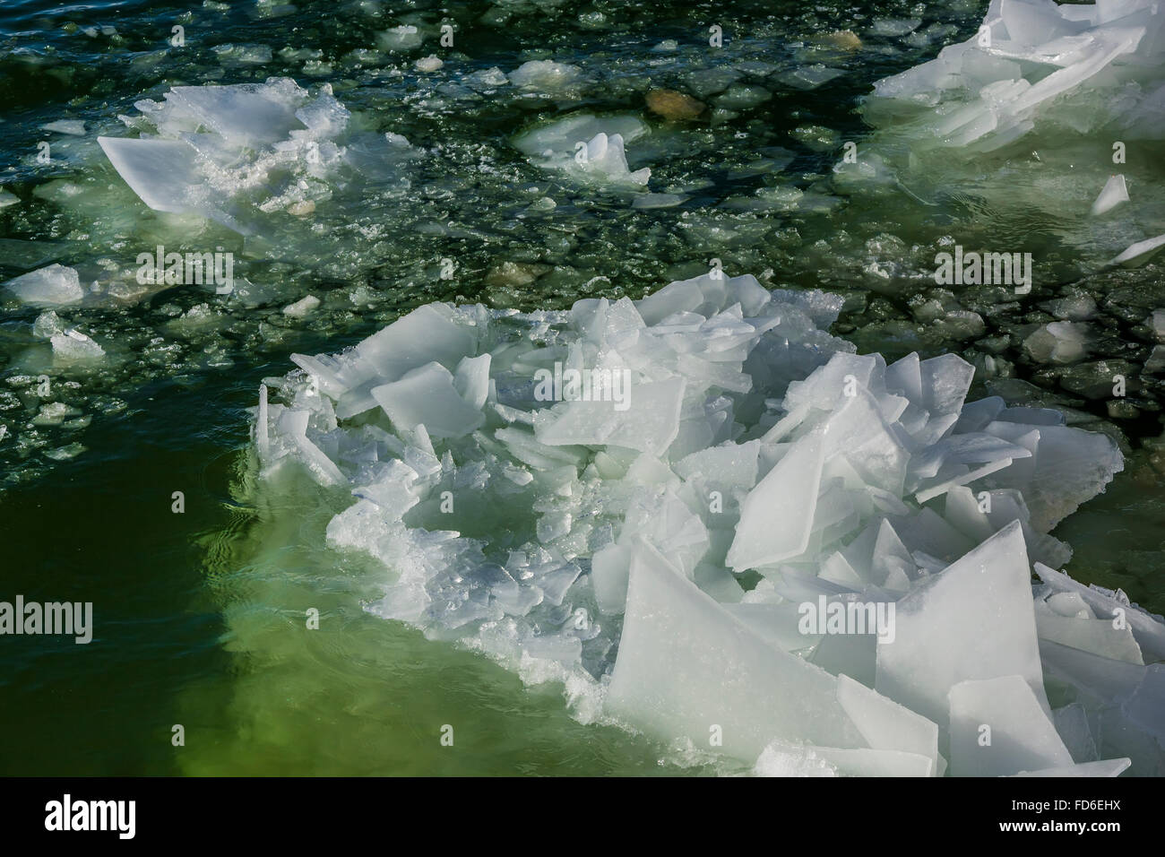 Flat plates of lake ice, broken up by the waves, then refrozen together ...