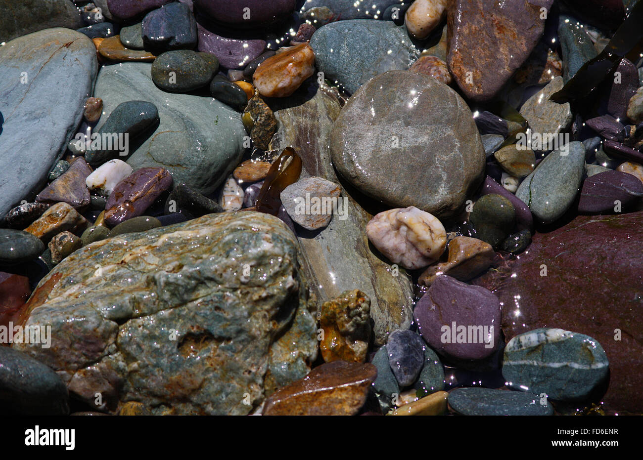 Close up of pebbles in a rock pool Stock Photo - Alamy