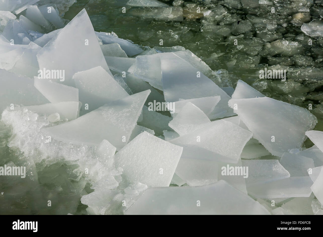 Flat plates of lake ice, broken up by the waves, then refrozen together ...