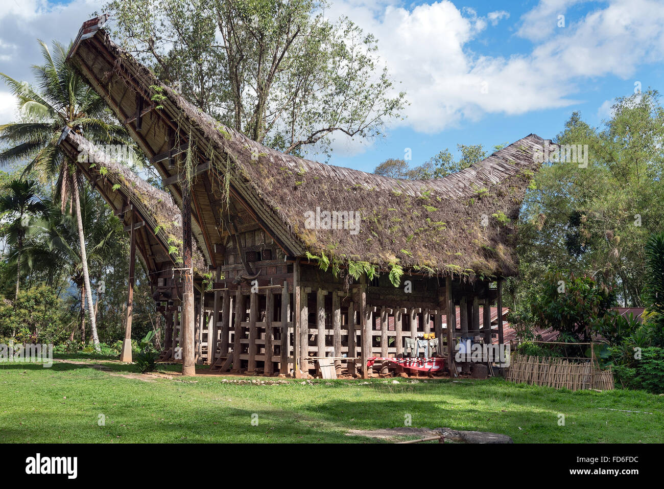 Tongkonan traditional old houses in Buntu Pune village. Tana Toraja ...
