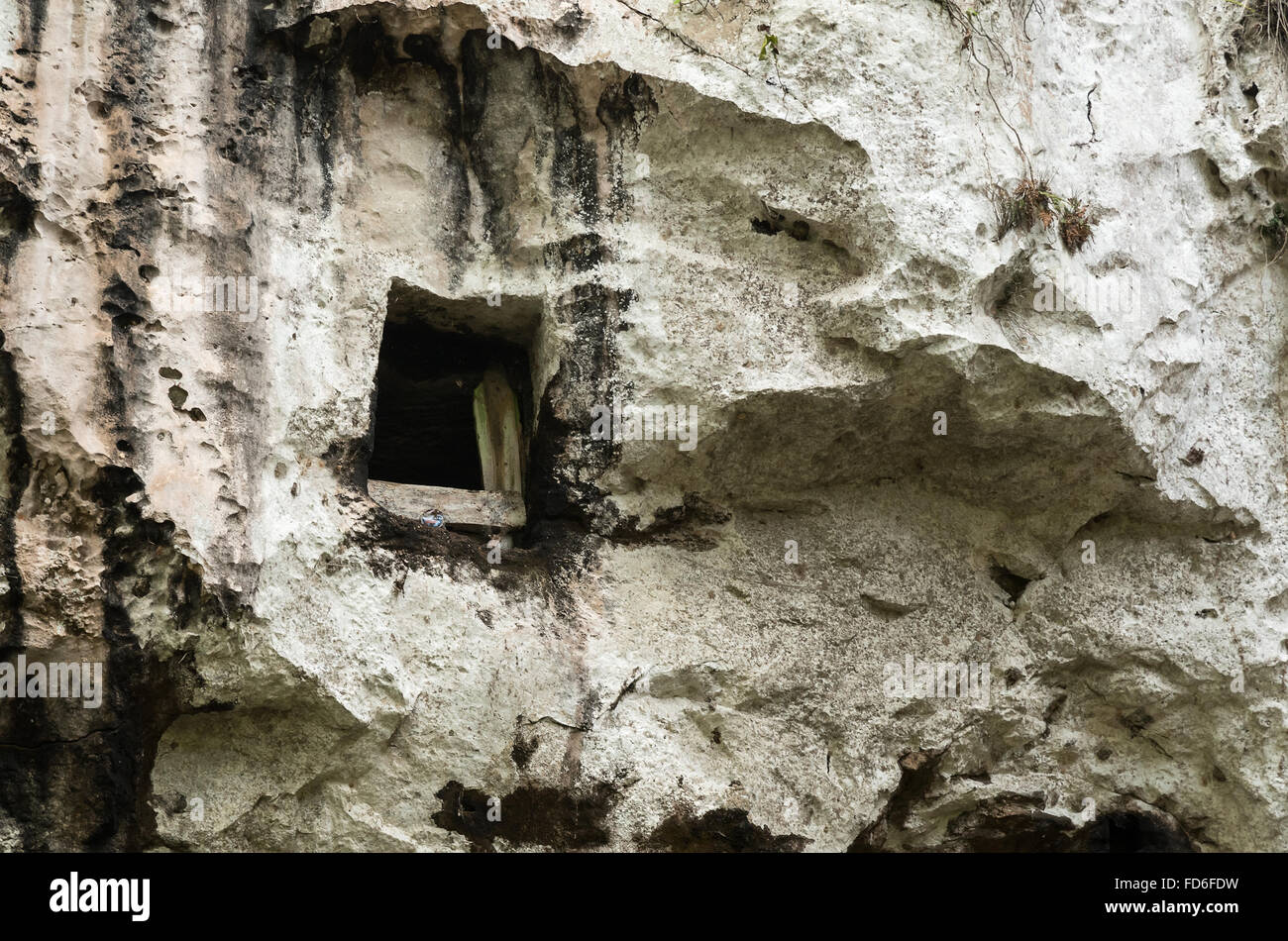 Toraja traditional cave grave carved in the rock. Buntu Pune village ...
