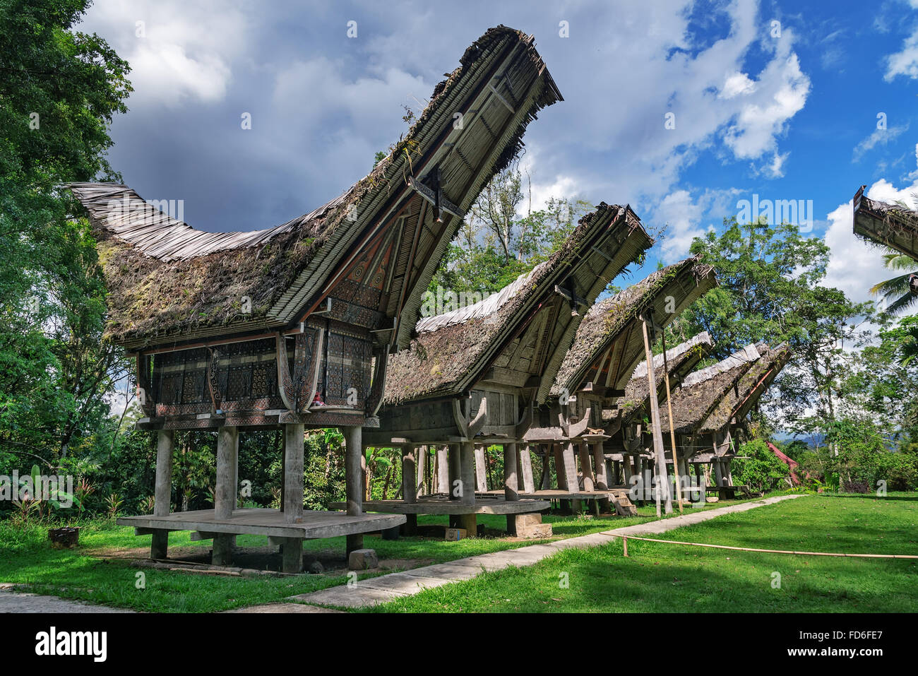 Tongkonan traditional rice barns in in Buntu Pune village. Tana Toraja ...