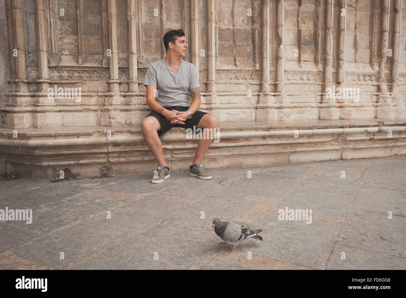 Man pigeon hi-res stock photography and images - Alamy