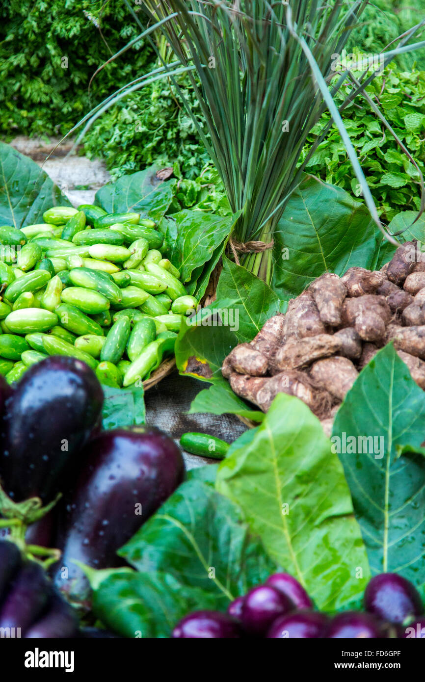 Vegetables on the market in Mumbai, India Stock Photo - Alamy