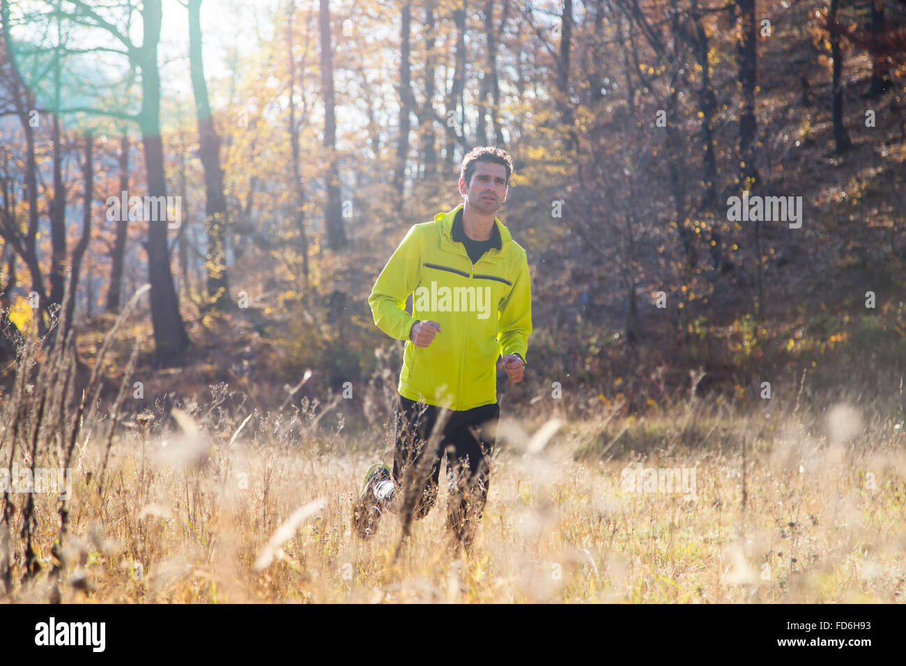 Man running at autumn park Stock Photo - Alamy