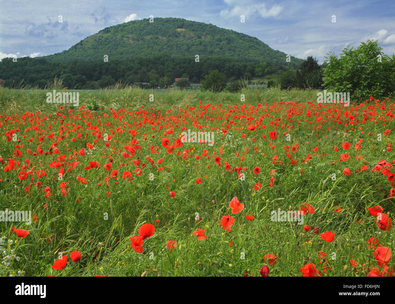 Czech memorable mountain called Rip - Czech republic Stock Photo - Alamy
