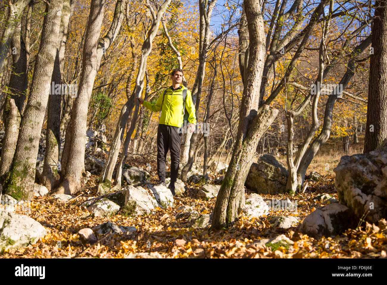 Young man hiking in the forest Stock Photo - Alamy