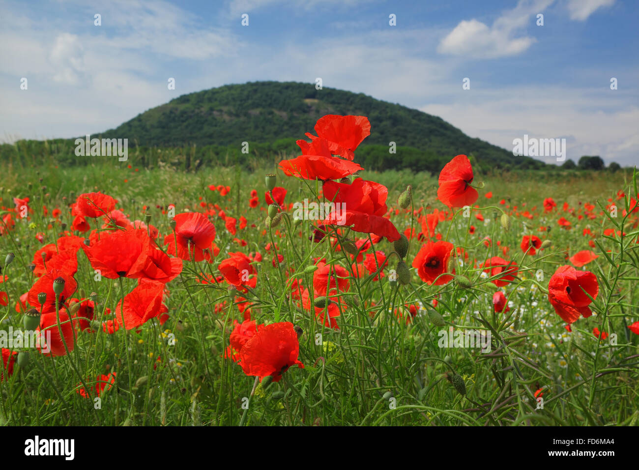 Mountain Rip memorable hill - Czech republic Stock Photo - Alamy
