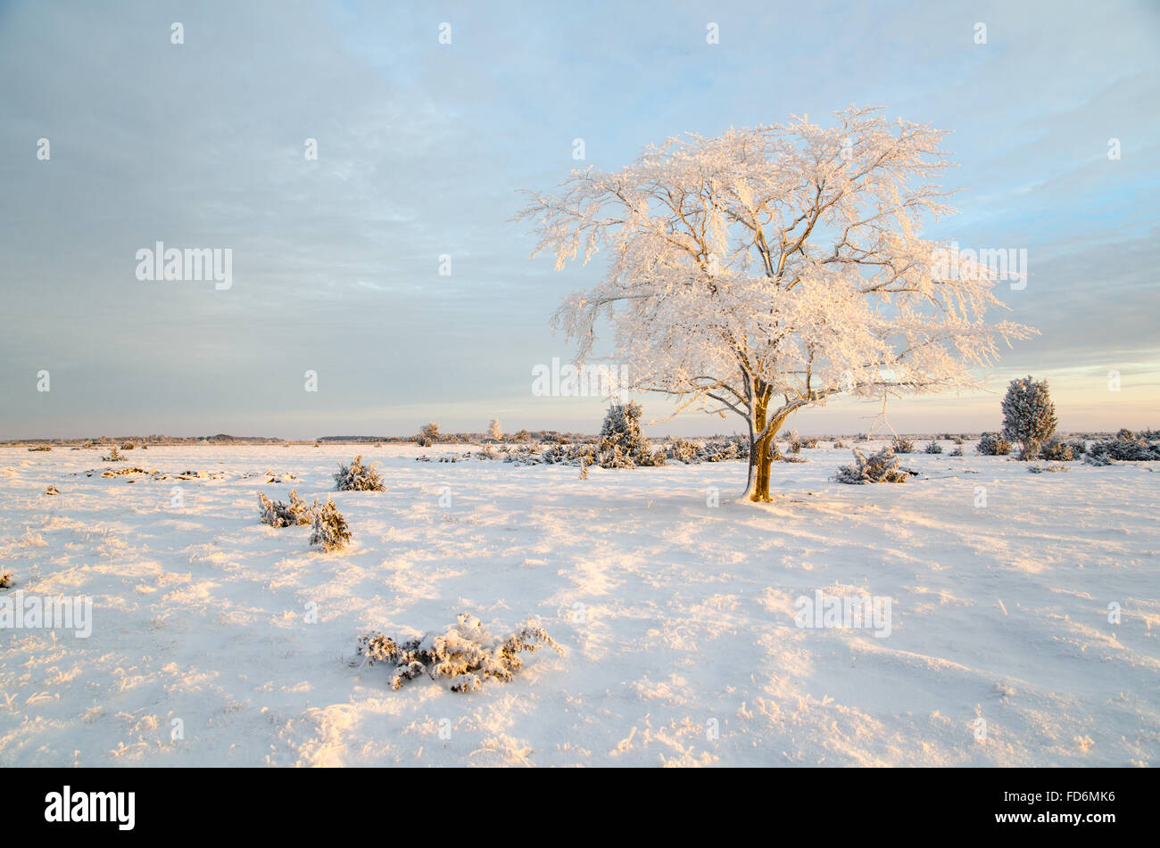 First sunshine hi-res stock photography and images - Alamy