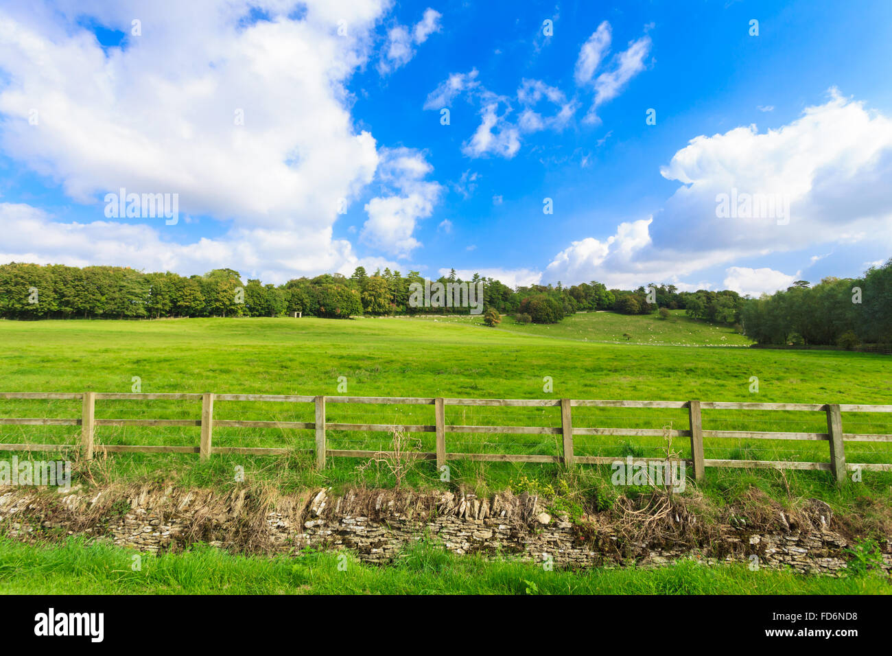 Beauty in nature summer landscape. Countryside view of green fields in ...