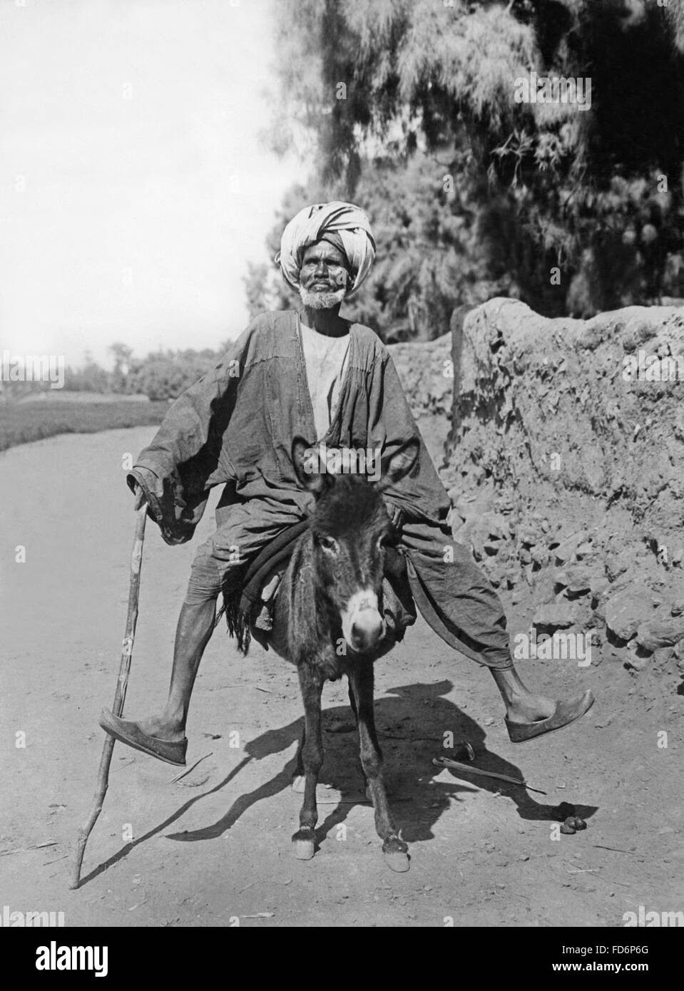 Egyptian riding donkey hi-res stock photography and images - Alamy