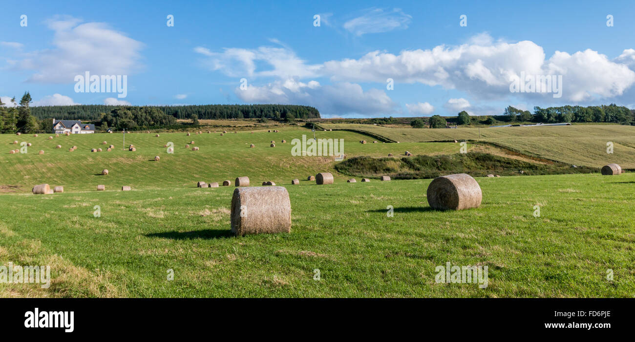 Farm near Culloden Stock Photo - Alamy