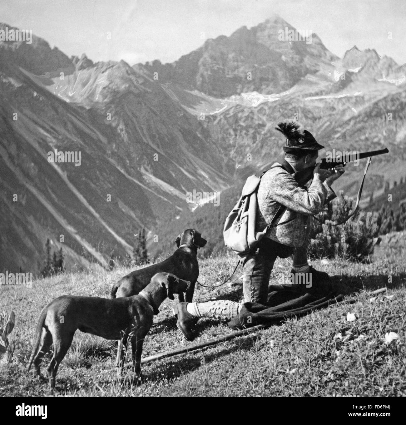 Huntsman dogs hi-res stock photography and images - Alamy