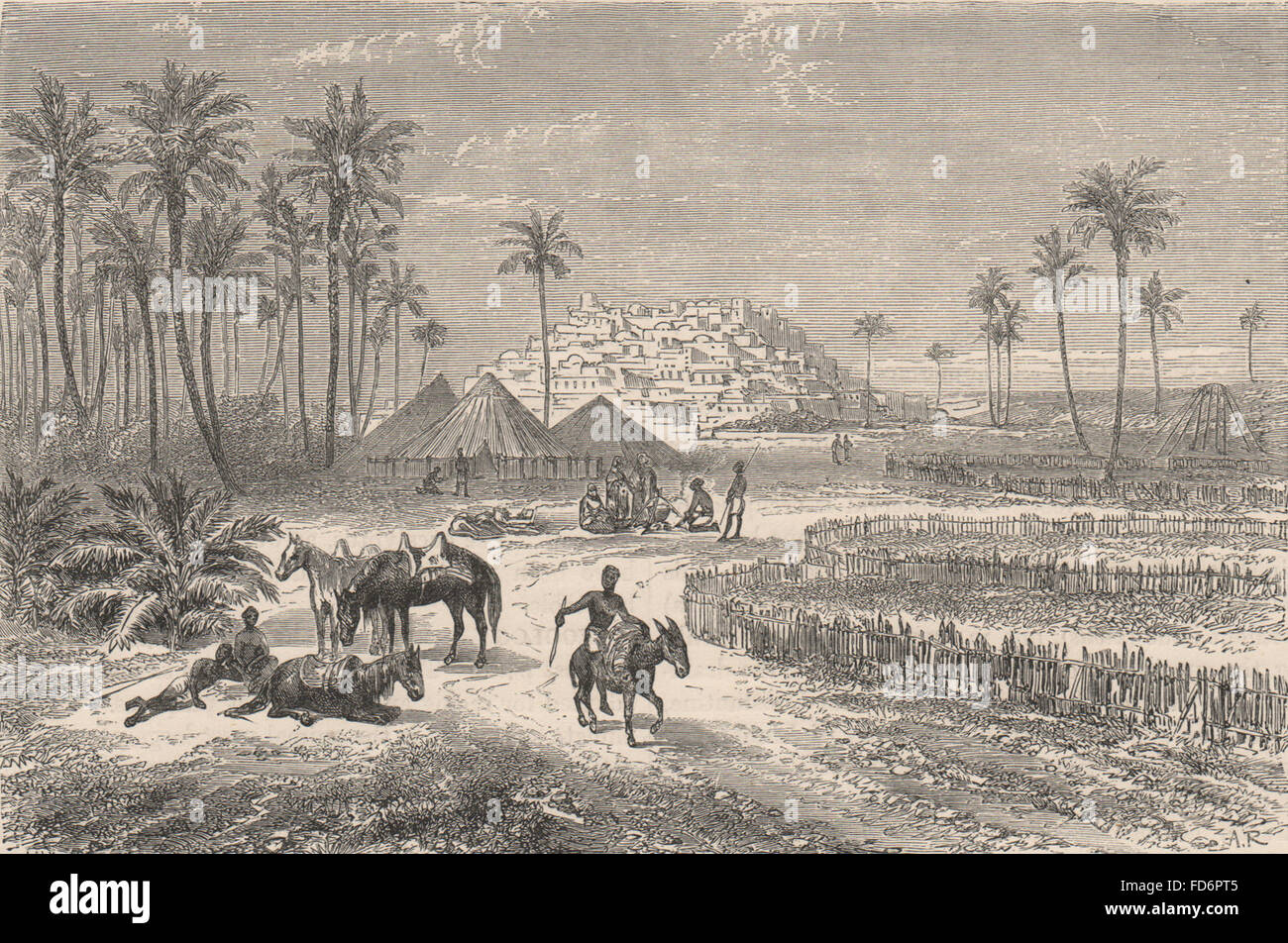 Oasis geography hi-res stock photography and images - Alamy