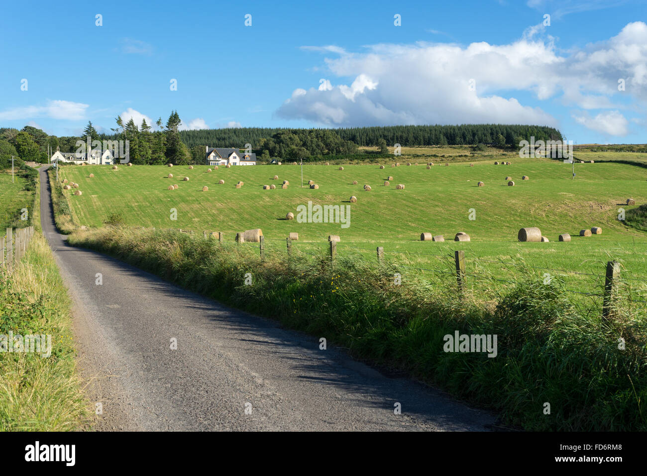 Farm near Culloden Stock Photo - Alamy