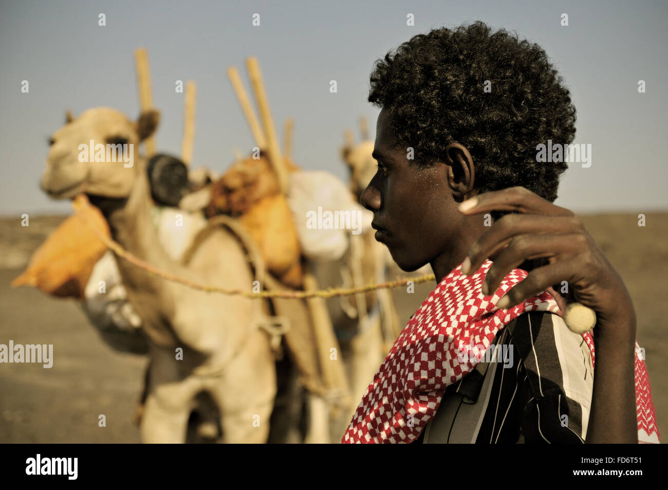 Ethiopian camel hi-res stock photography and images - Alamy