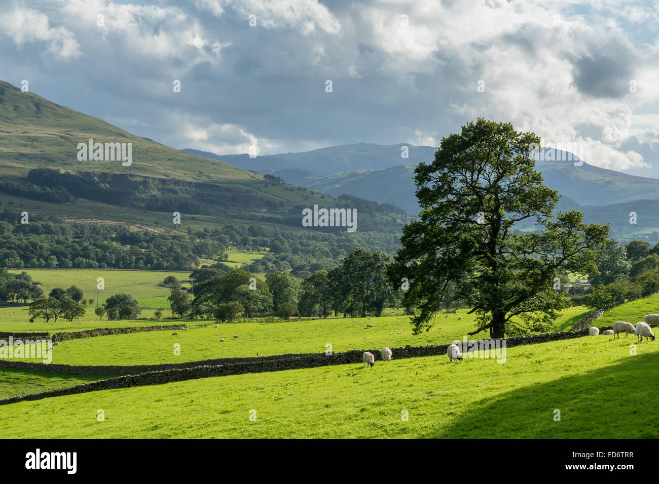 Countryside of the Lake District Stock Photo - Alamy