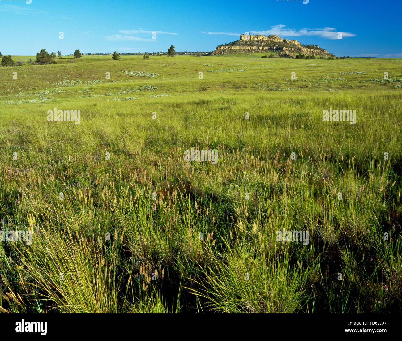 Foothills Grassland High Resolution Stock Photography and Images - Alamy